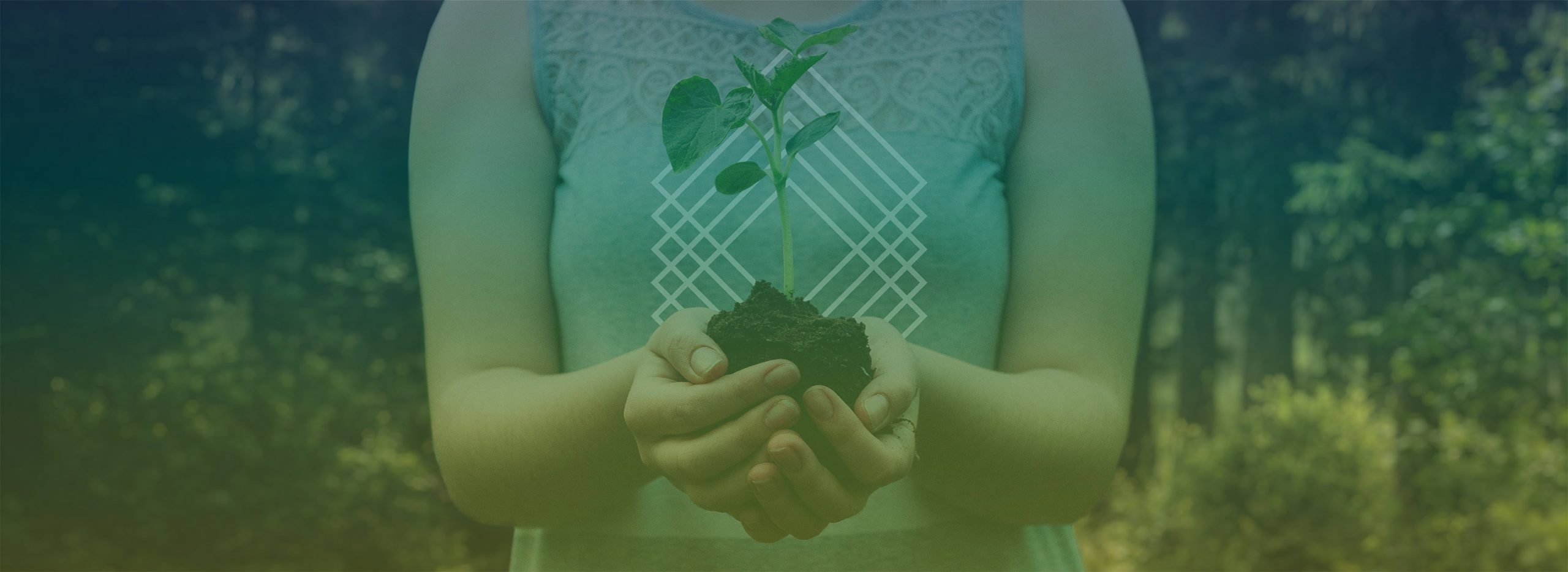 Le GRAME | Inspirer, outiller et mobiliser pour l'environnement!