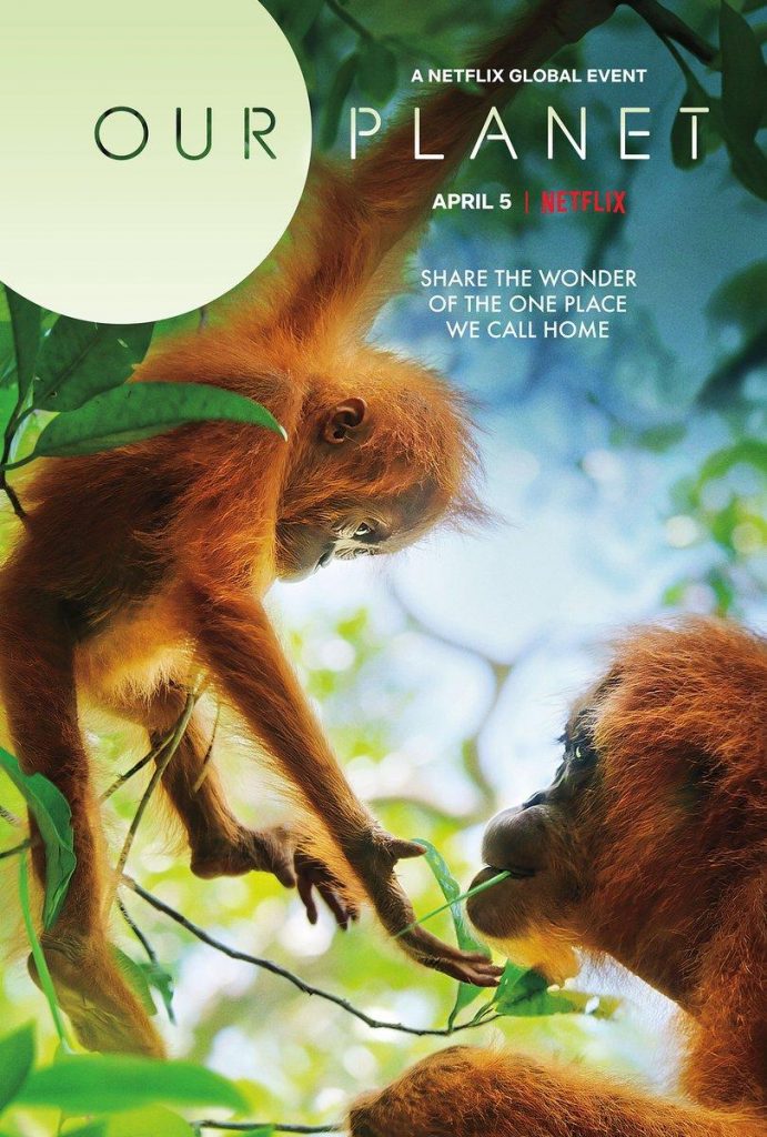5 documentaires à découvrir sur la nature et l’environnement - Le GRAME