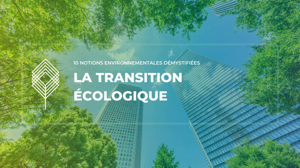 Transition écologique : repenser les crises socio-environnementales ...